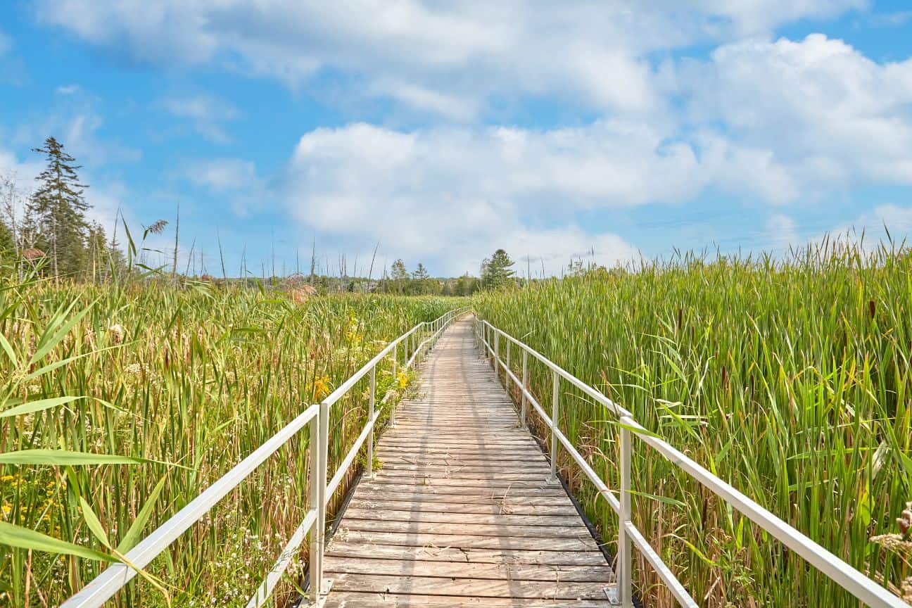 Ardagh Bluffs Homes for Sale