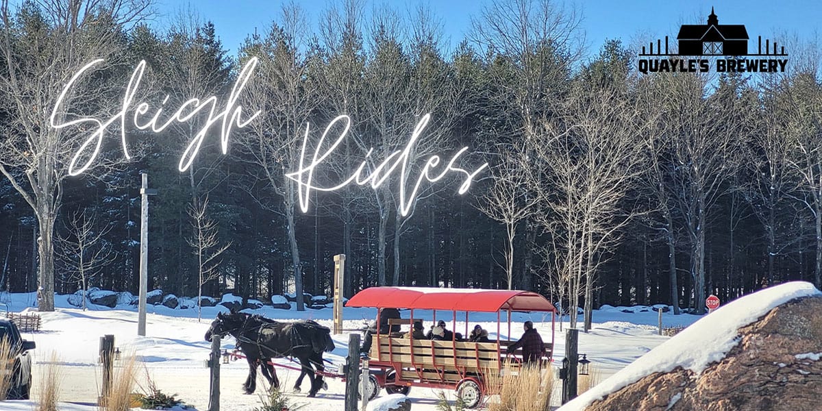 Kick Off the New Year with Exciting Events in Simcoe County! - Peggy ...